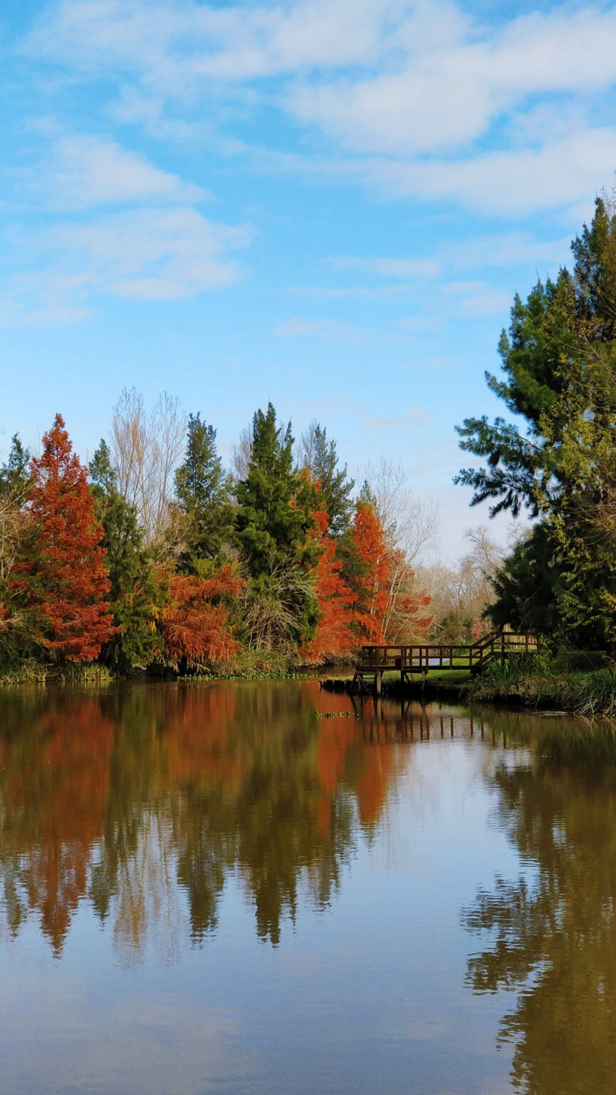 Servicios y Amenities - Hotel en el Delta del Tigre | Delta Eco Resort ...